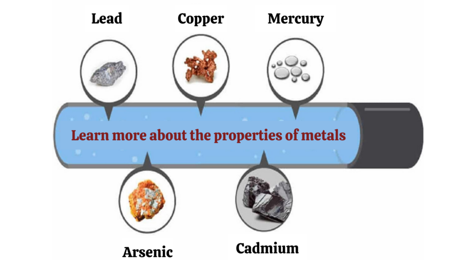 Heavy Metals In Water And The Risk Of Bioaccumulation